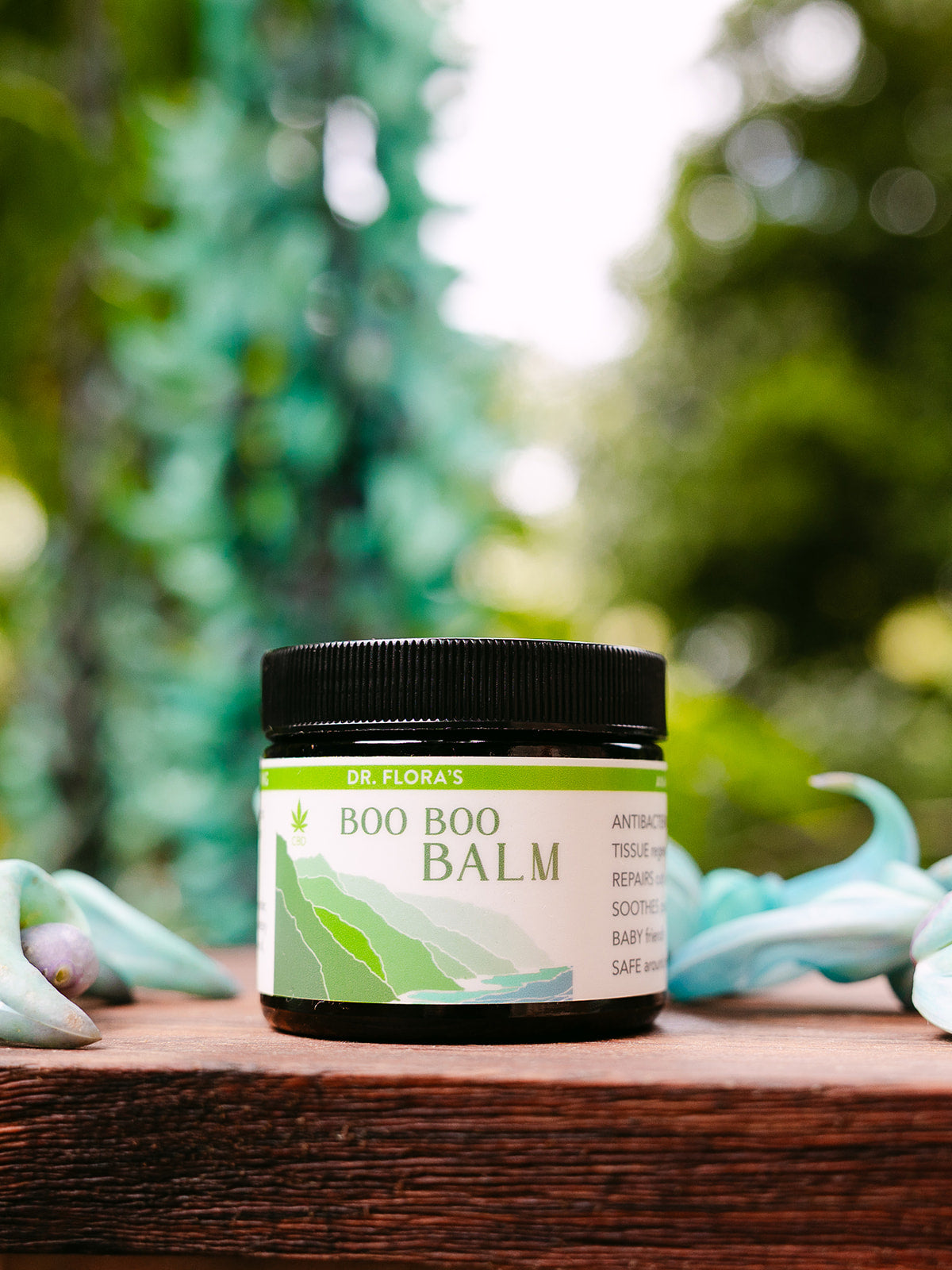 Boo Boo Balm ~ Skin Regenerative Salve