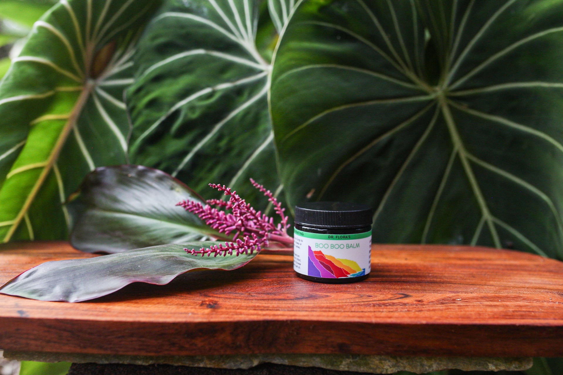 Boo Boo Bomb ~ Skin Regenerative Salve